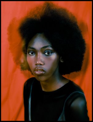 WAVE MANAGEMENT - bre